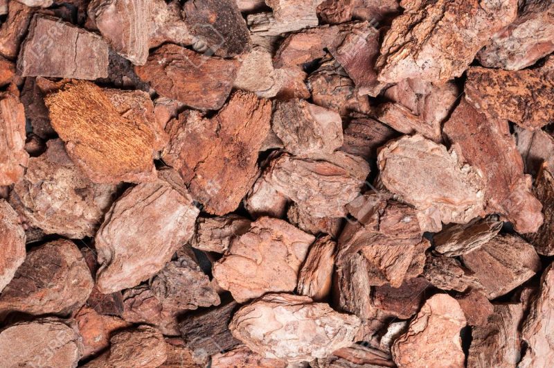 Home / Our Products / Mulch / Pine Bark Nuggetts